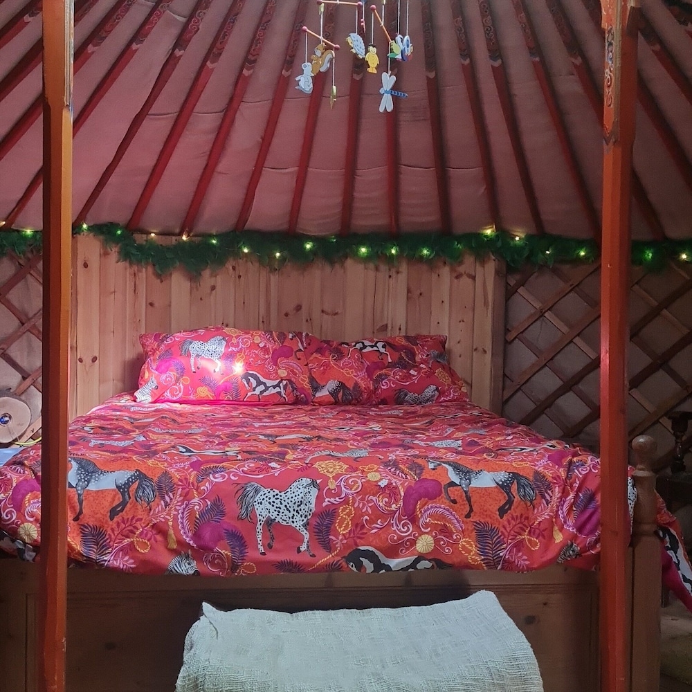 Traditional Yurt, Woodburner, Private Loo, Outdoor Shower, Woodfired Hottub. - Forest of Dean
