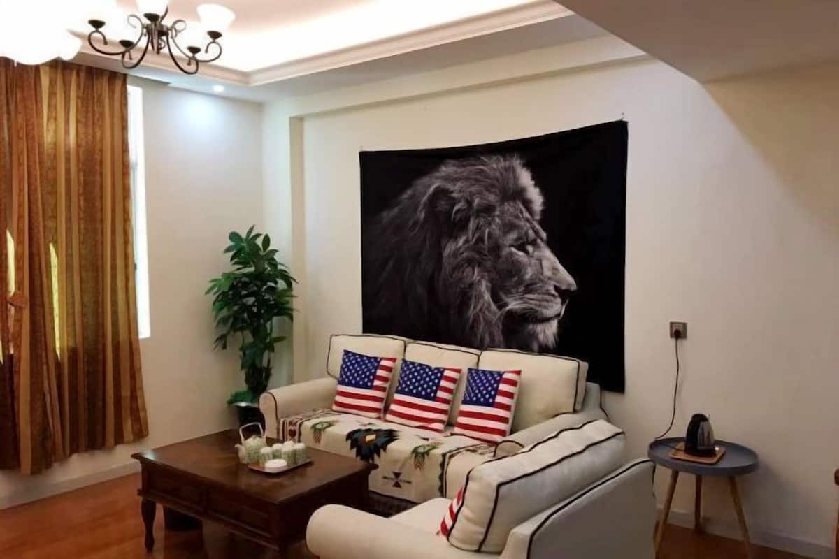 Uma sala de estar com um sofá decorado com almofadas da bandeira americana, uma grande tapeçaria com o rosto de um leão, uma mesa de centro de madeira, uma planta em vaso e uma pequena mesa lateral com uma chaleira.