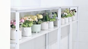 Casa de banho com azulejos brancos e um armário branco com várias plantas em vasos.