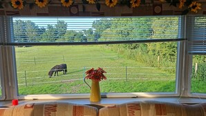 Janela com vista para um campo verde e um cavalo pastando, um vaso com flores vermelhas e cortina estampada.