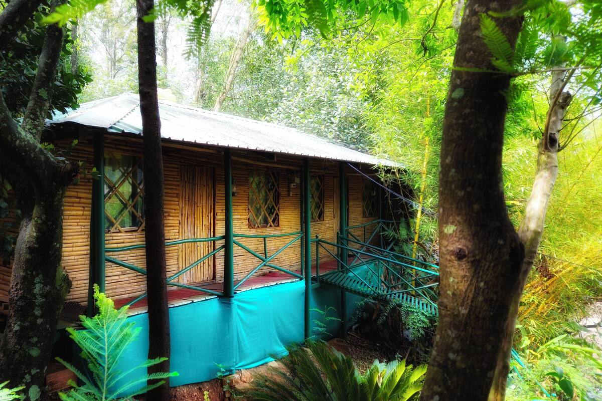 Uma cabana de madeira com telhado de metal, rodeada por uma floresta densa.