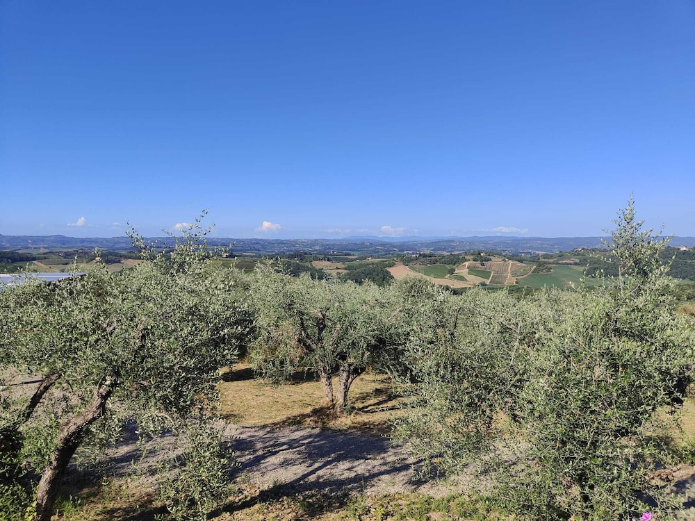 Andrea's Dream - San Gimignano