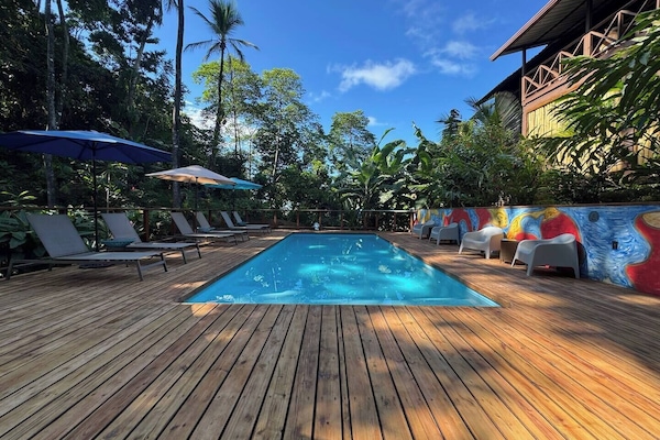 Piscina exterior, guarda-sóis, espreguiçadeiras