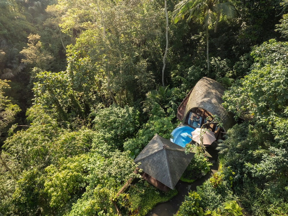 Villa Leona Valley View Ubud - Ubud
