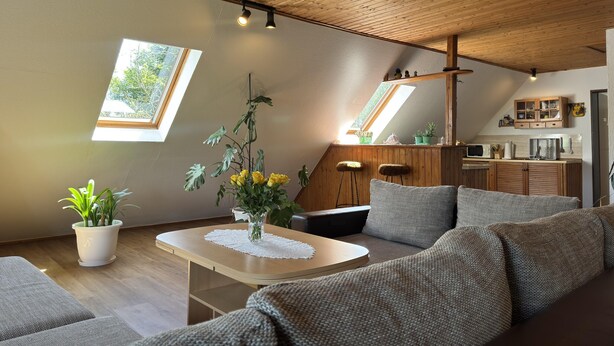 Uma sala de estar moderna com teto de madeira, um sofá, uma mesa de centro e um vaso de planta.