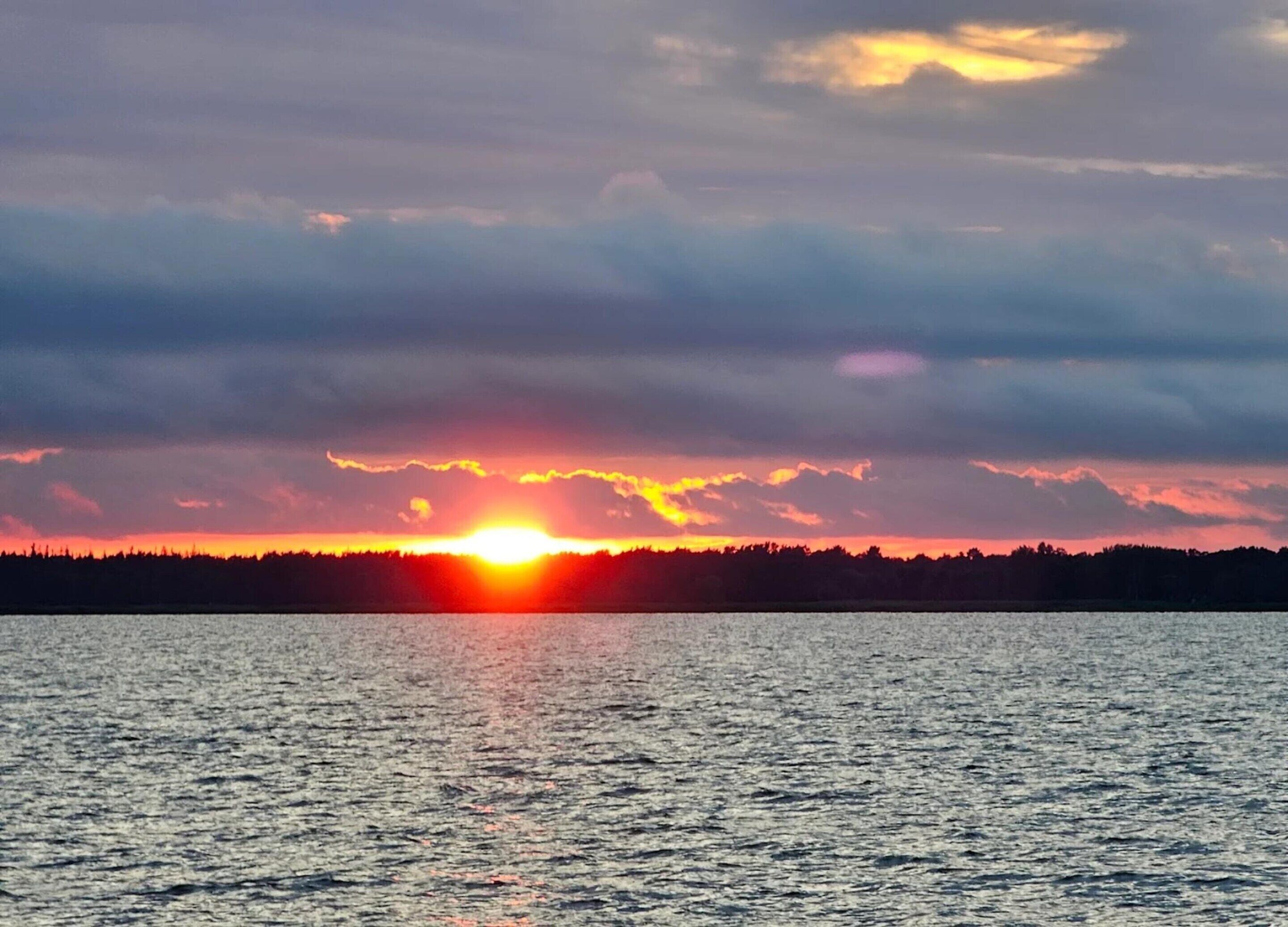 Um pôr do sol sobre a água, com a costa ladeada por uma floresta.