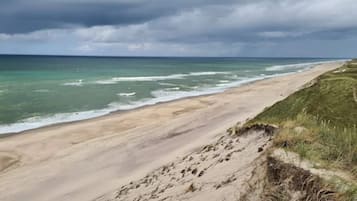 Uma praia com areal arenoso e dunas gramadas.