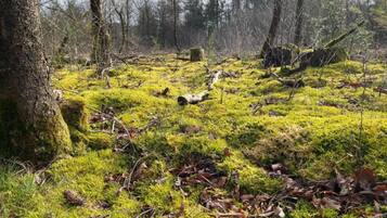 Casa | Vista do alojamento