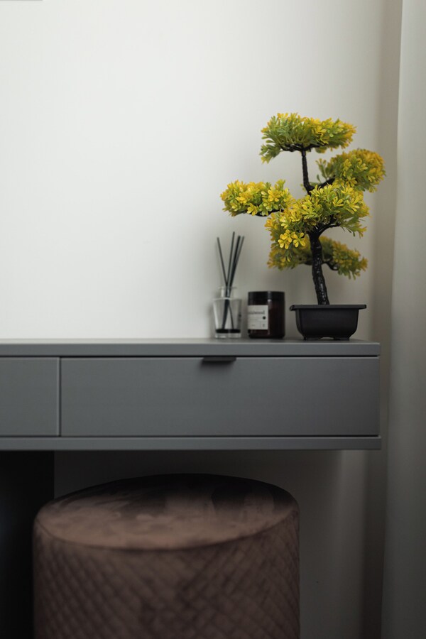 Nest Inn Charm Apartment - Județul Satu Mare