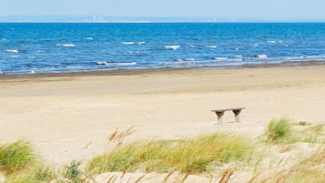 Uma praia com um banco e dunas de areia em primeiro plano.