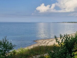 Uma praia com águas calmas, areal arenoso e vegetação em primeiro plano.