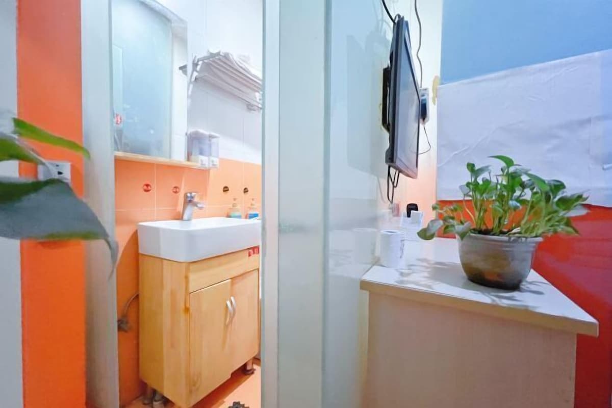 Casa de banho com lavatório, espelho e uma planta em vaso.