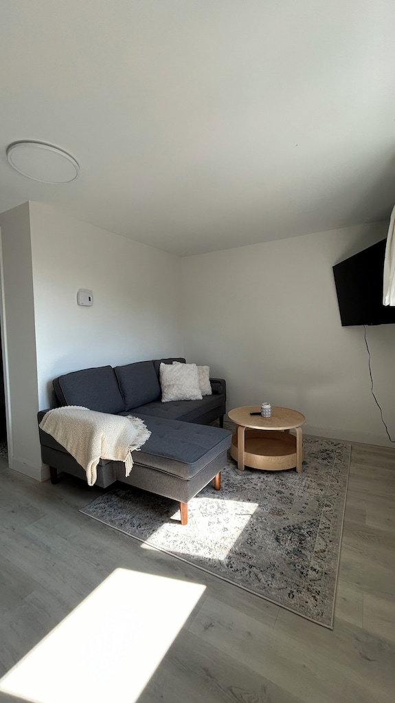 Jolie Et Spacieux Appartement 2 Chambres Fraîchement Rénové Et Bien Situé à Hull - Ottawa