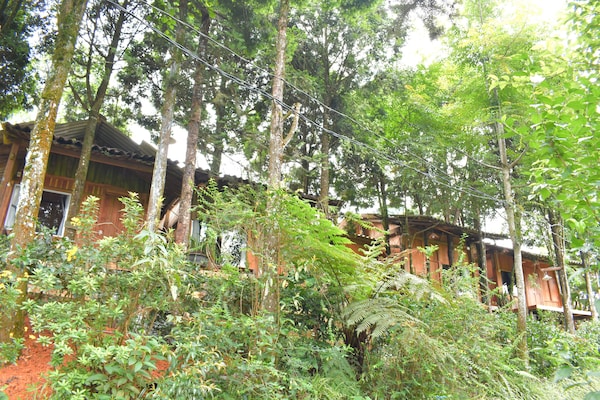 Sapa Jungle Homestay - Sa Pa