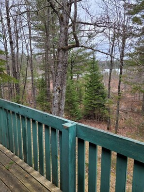 Terrenos do alojamento