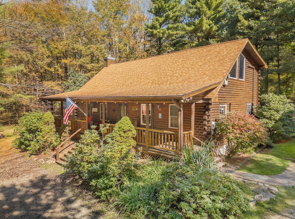 Wander Through The Woods - Deep Creek Lake, MD