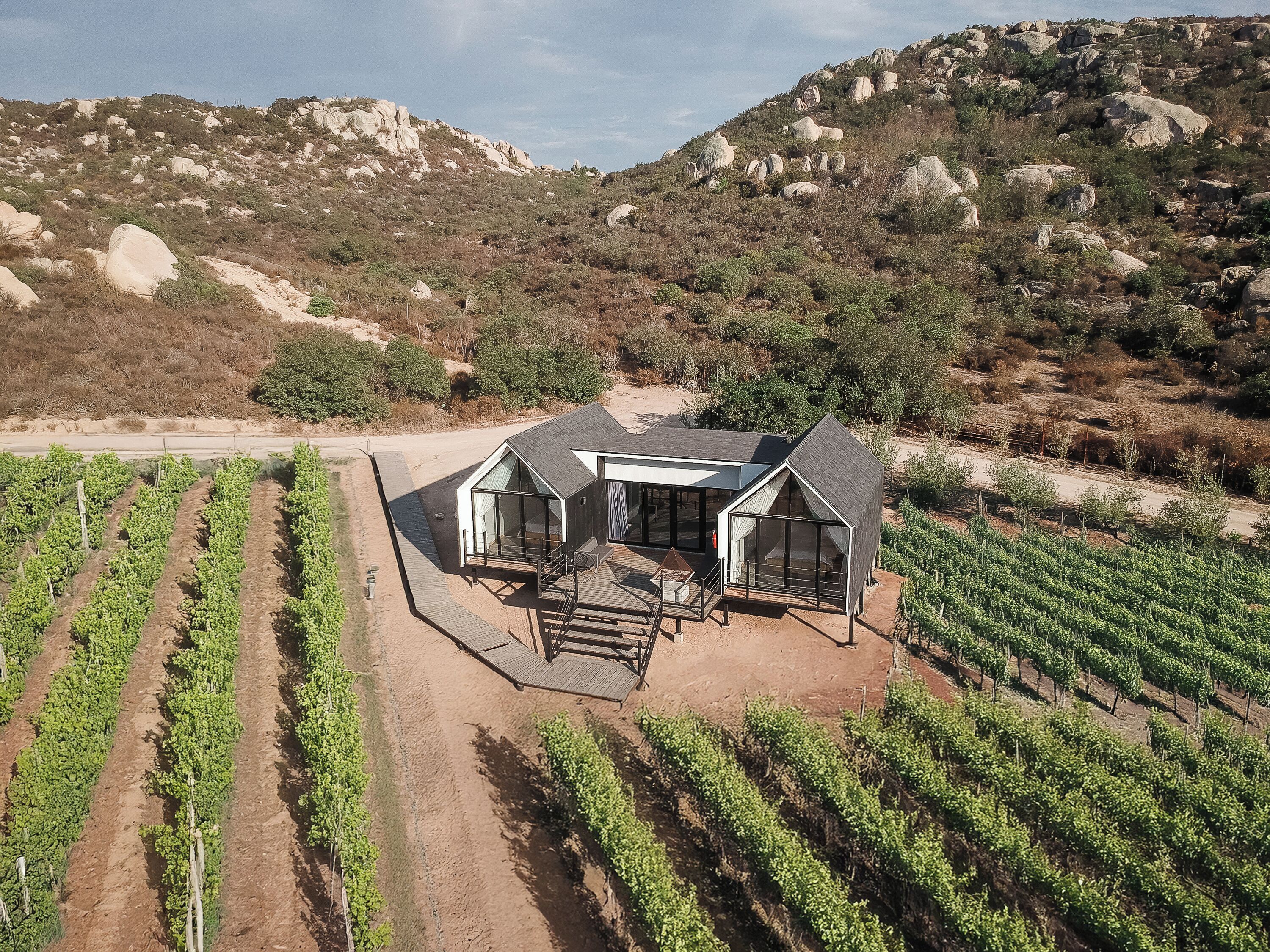 Uma casa moderna com um terraço amplo, rodeada por vinhedos.