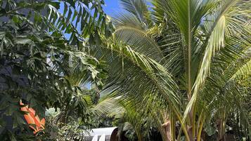 Apartamento em Condomínio Fechado, 1 quarto | Terrenos do alojamento