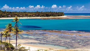 Uma praia com águas turquesa cristalinas, areal dourado e uma fileira de palmeiras.