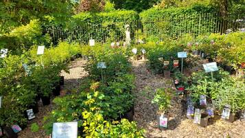 Apartamento | Vista da propriedade