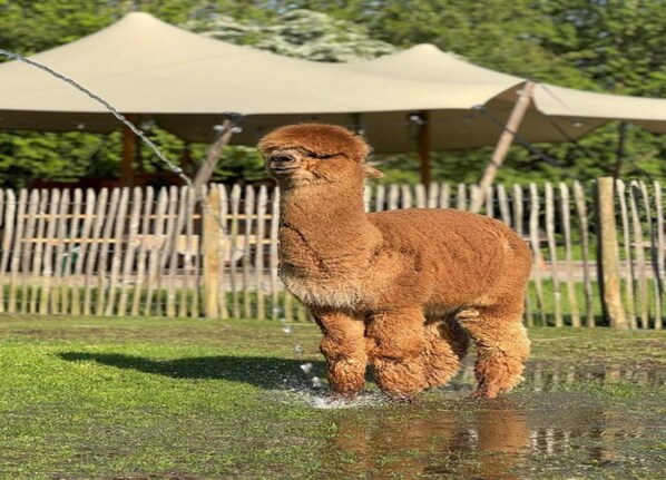 Casa | Vista da propriedade