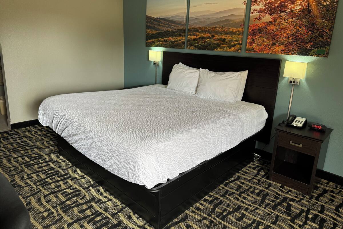 Quarto de hotel com uma cama grande, duas luminárias de cabeceira, mesa de cabeceira com telefone e relógio, e vista para uma paisagem pela janela.