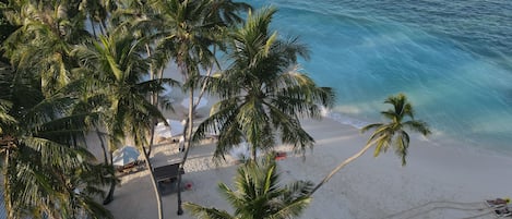 Uma praia com palmeiras, areia dourada e oceano azul cristalino.