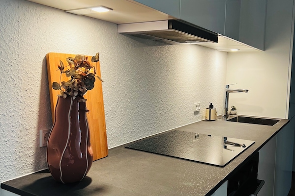 Apartamento Comfort | Cozinha privada | Um frigorífico/congelador grande, um forno, uma placa de cozinha