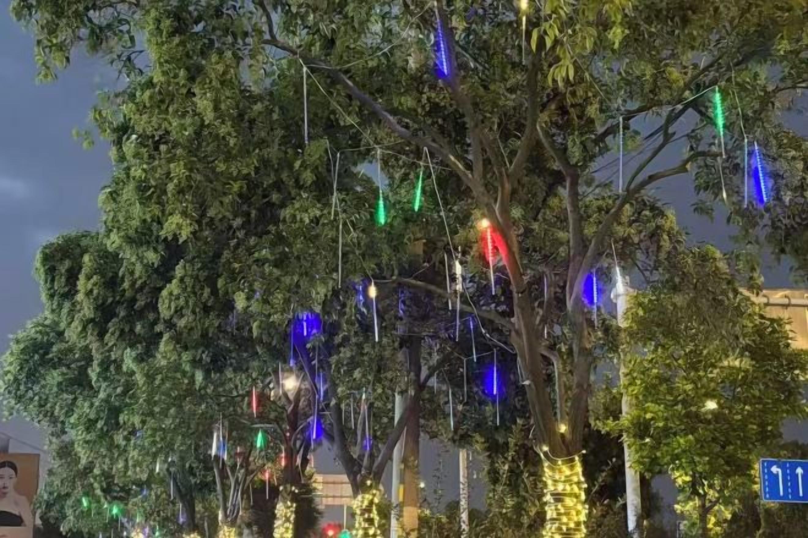 Uma árvore decorada com luzes coloridas.
