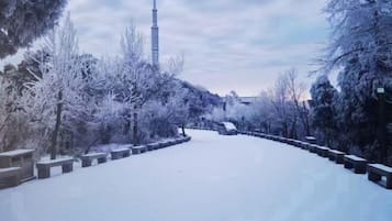 Terrenos do alojamento