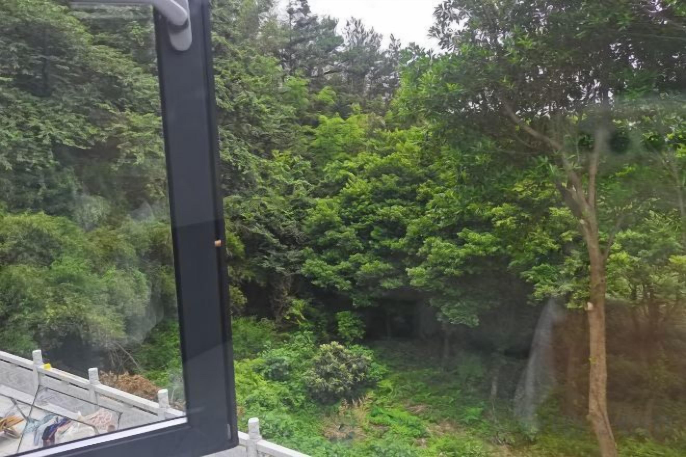 Vista pela janela com grade de metal, com uma floresta densa e uma cachoeira.