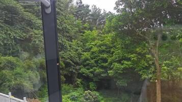 Vista pela janela com grade de metal, com uma floresta densa e uma cachoeira.