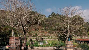 Uma área de pátio ao ar livre com mesa e cadeiras, cercada por árvores e um jardim.
