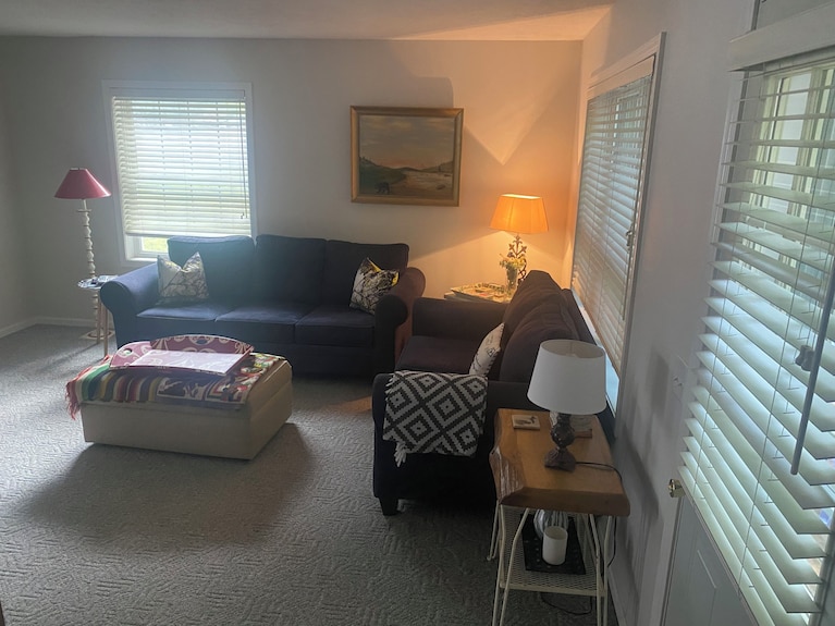Cozy 2-bedroom Condo In Enchanting Petoskey With Wifi, Ac. State Park, Bike Path - ハーバー・スプリングス, MI