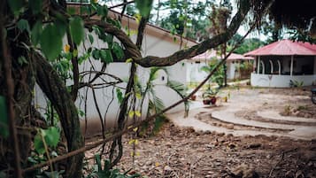 Jardim