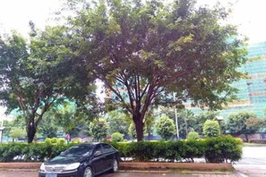 Área da propriedade