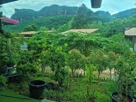 Bangalô família, vista para a colina | Terraço/pátio