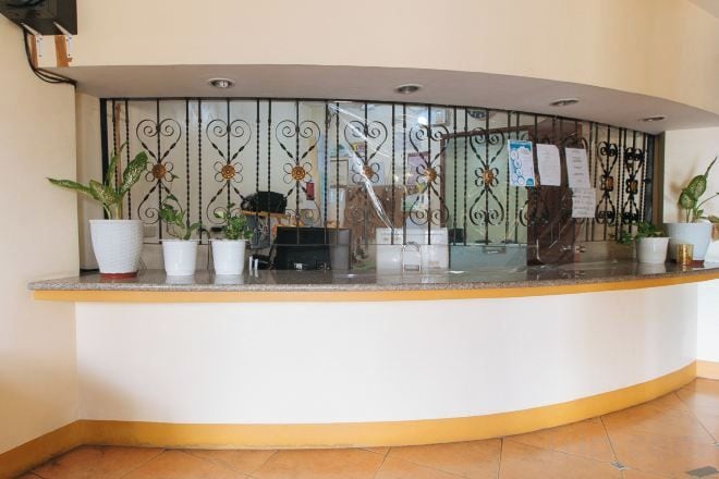 Balcão de recepção com bancada curva, plantas em vasos e uma cerca metálica decorativa.