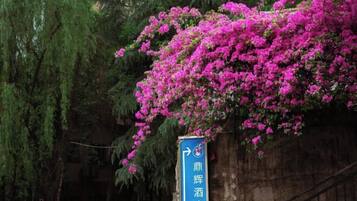 Terrenos do alojamento