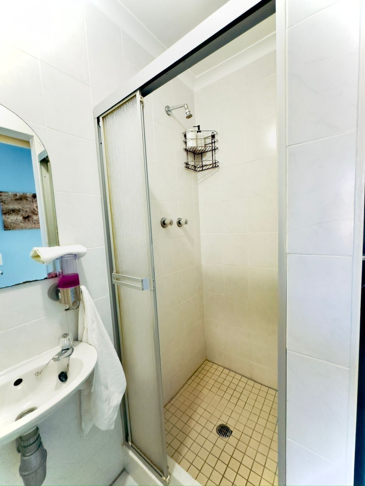 Chuveiro com porta de vidro, pia branca com espelho e porta-toalhas.