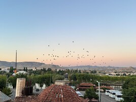 Suite Familiar, varanda, vista para o lago | Cortinas/cortinados opacos, quartos insonorizados 