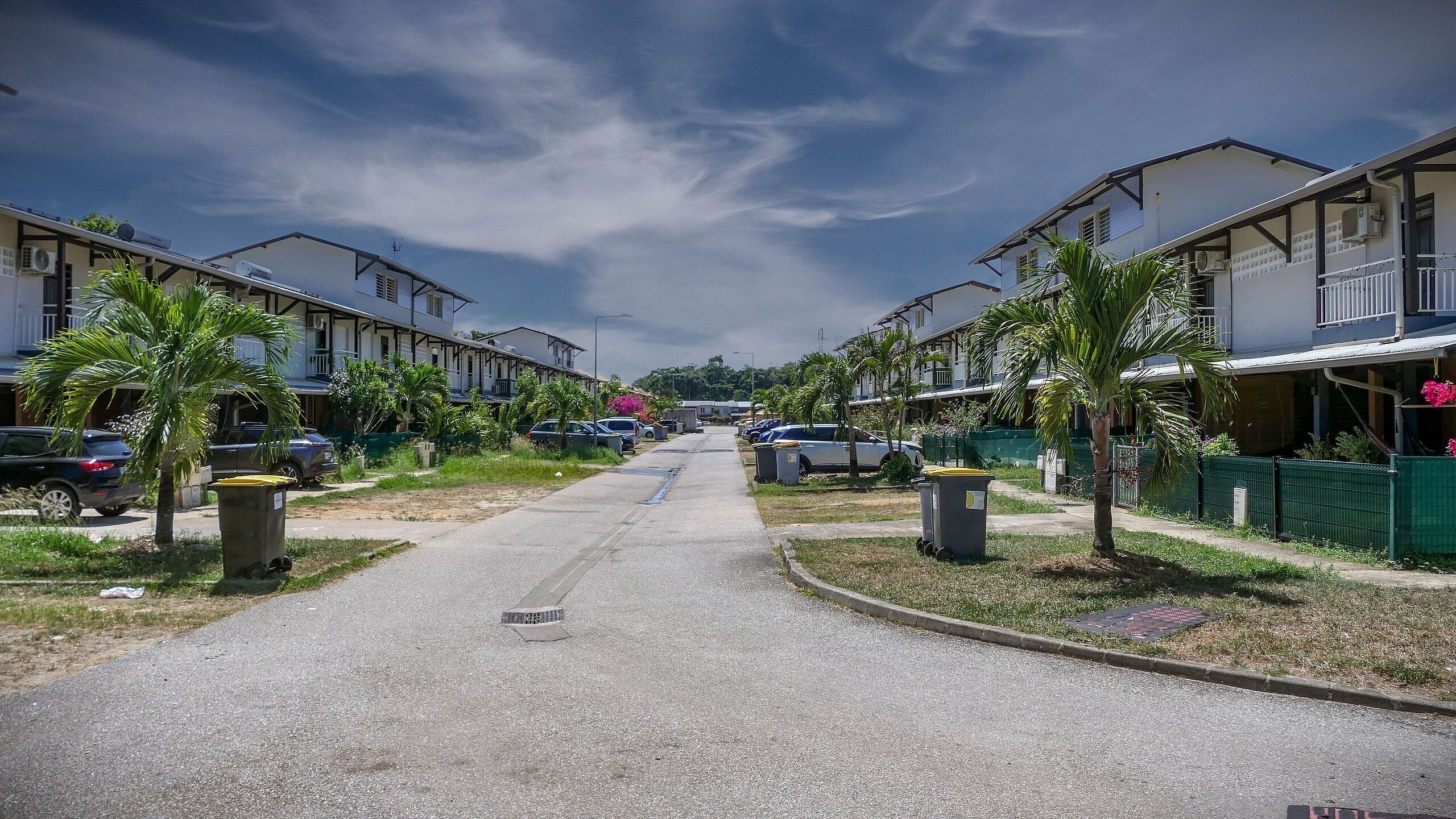 Rua residencial com casas de ambos os lados, carros estacionados e palmeiras.