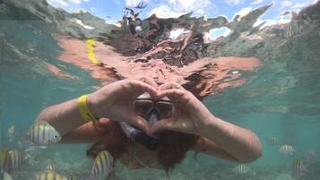 Na praia, 18 bares na praia