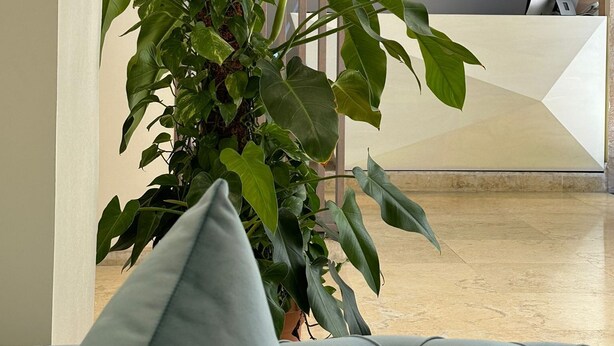 Uma área de recepção com um vaso de planta, um espaço de estar com sofá acolchoado e uma parede com tela de projeção exibindo 'Accueil' e 'Accueil'.