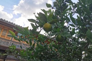 Terrenos do alojamento