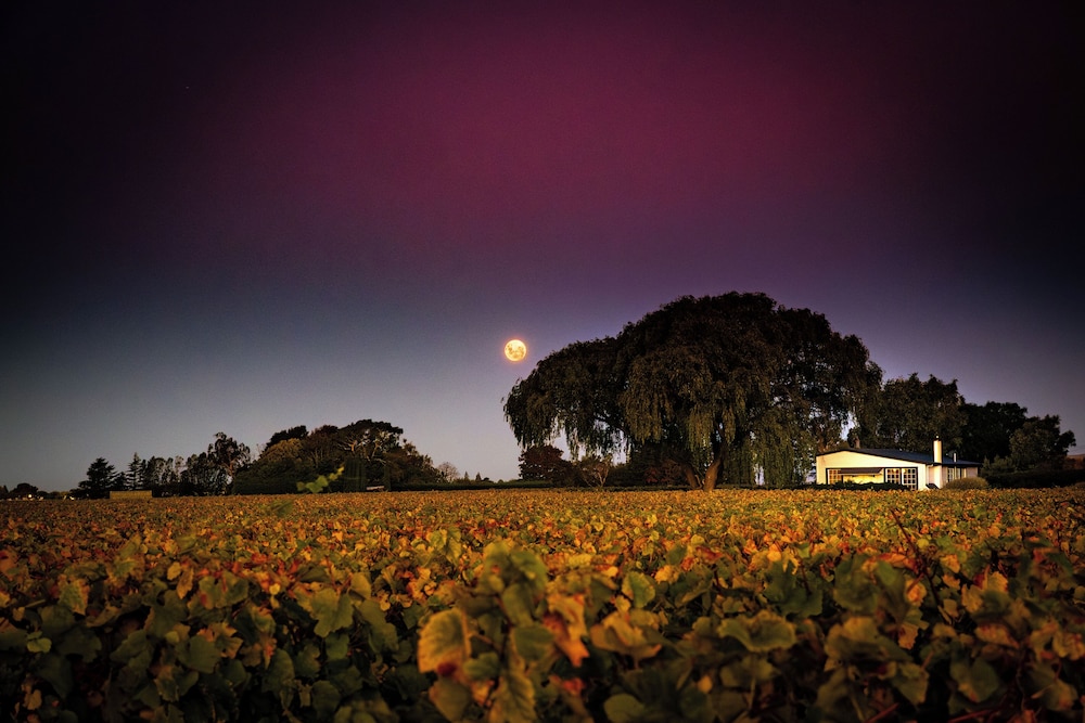 St Leonards Vineyard Cottages - Blenheim