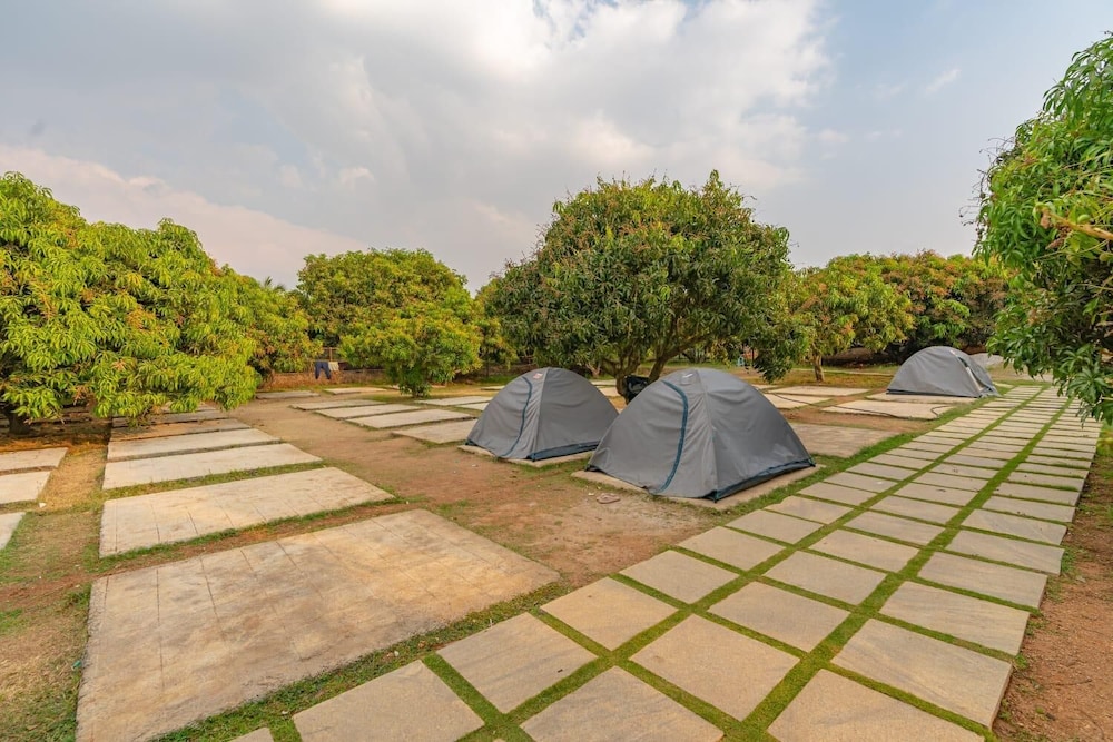 Q Mango Resort - Andhra Pradesh