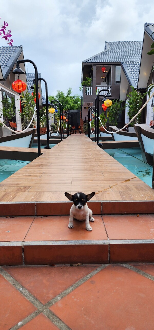 Hoi An Coco Bungalows - Da Nang