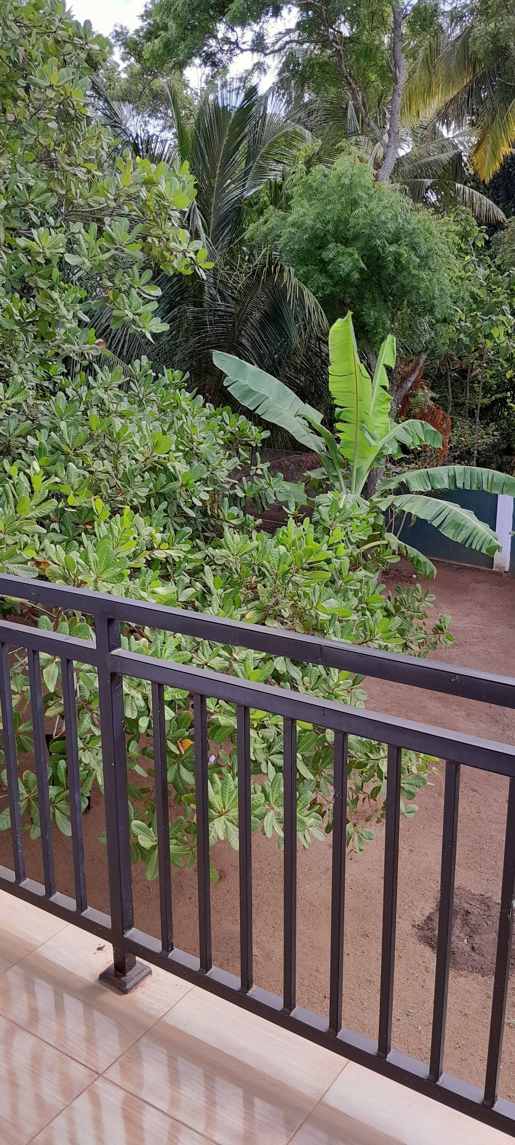 Uma varanda com guarda-corrimão de metal, com vista para um jardim com várias plantas e árvores.