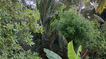 Uma varanda com guarda-corrimão de metal, com vista para um jardim com várias plantas e árvores.